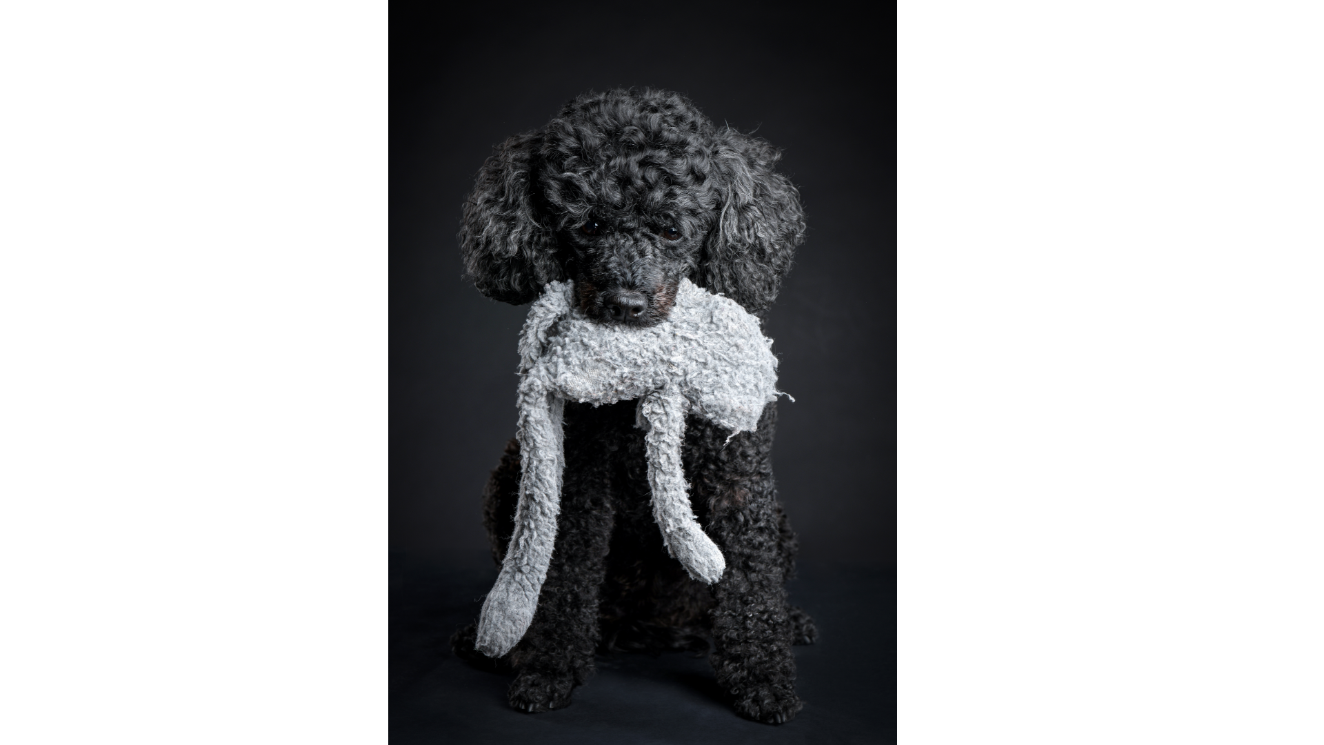 Misty's Closet – Misty's Closet