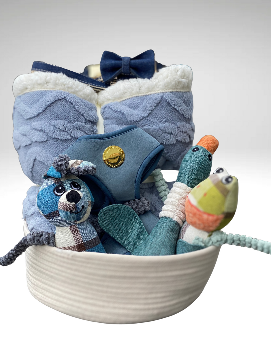 Misty's Closet – Misty's Closet