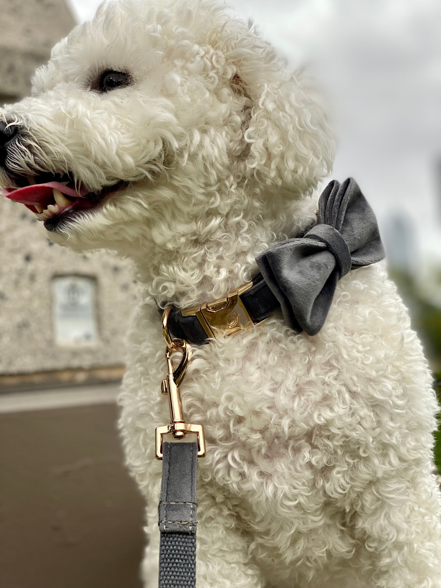 Misty's Closet – Misty's Closet