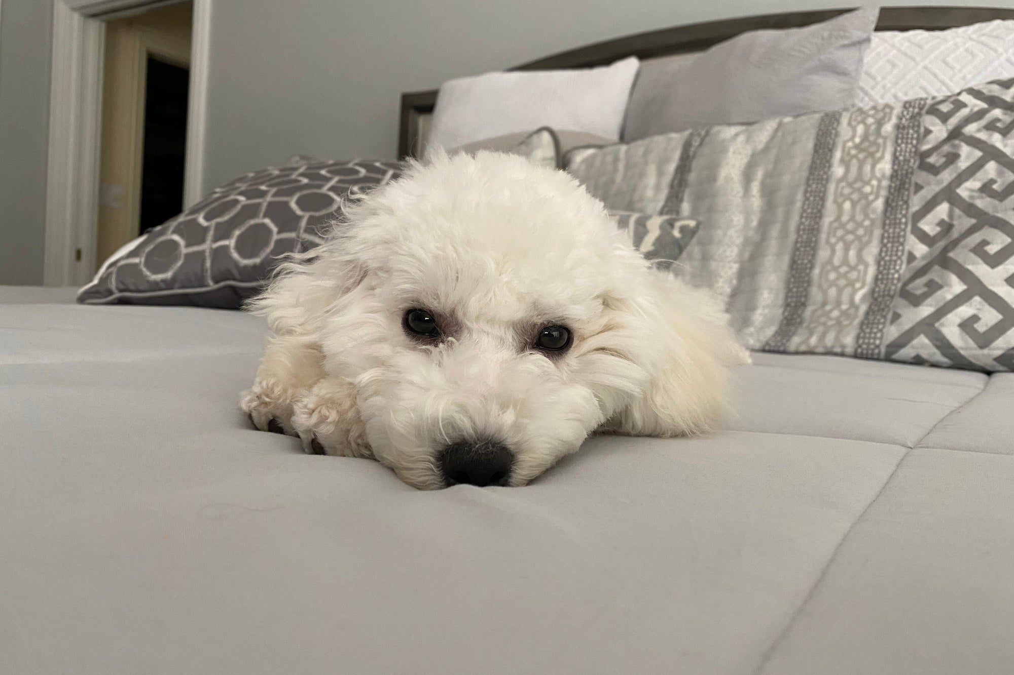 Misty's Closet – Misty's Closet