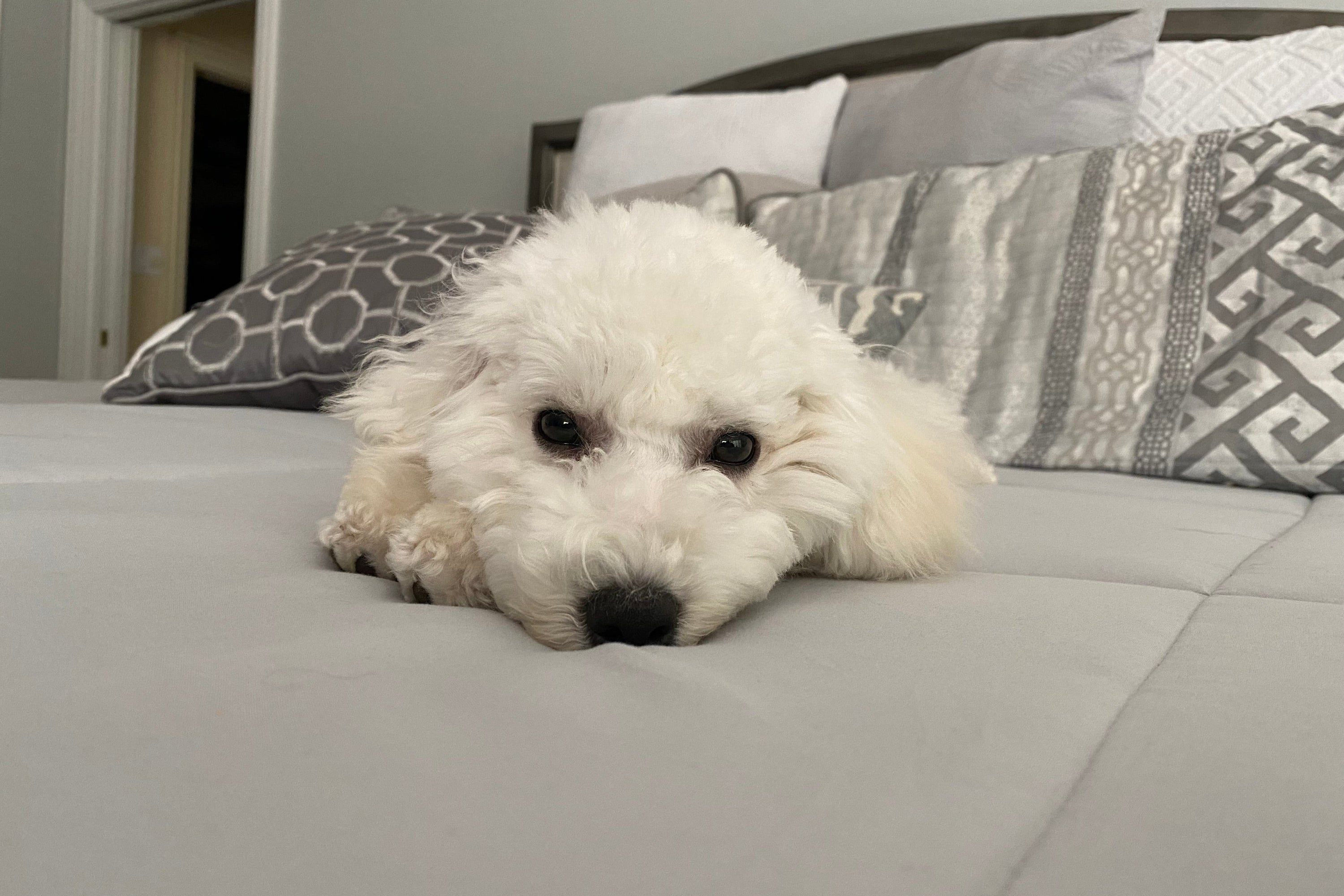 Misty's Closet – Misty's Closet