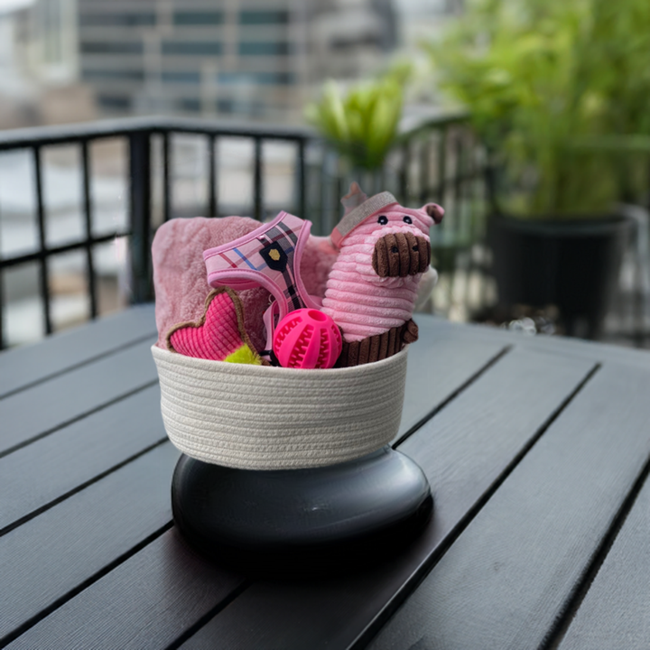 Misty's Closet – Misty's Closet