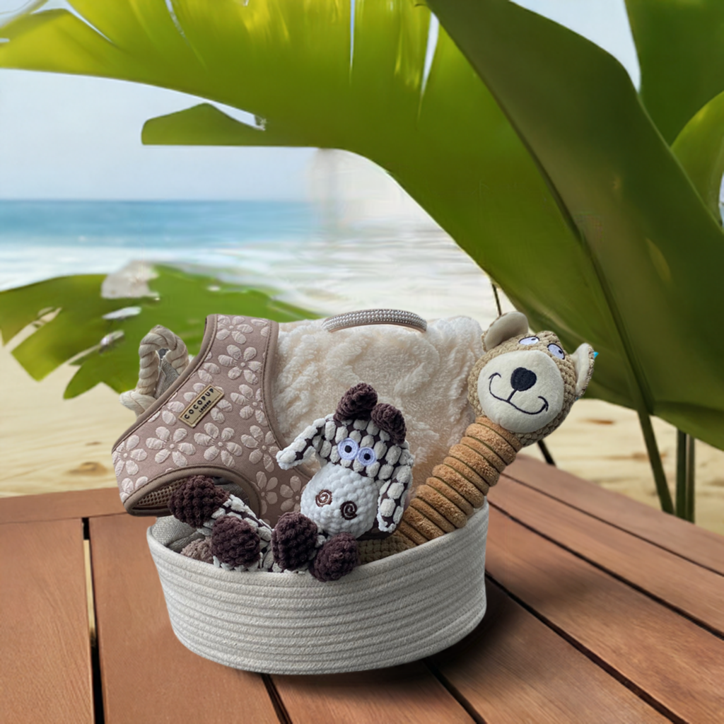 Misty's Closet – Misty's Closet