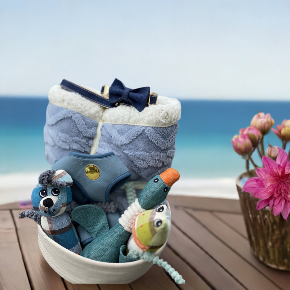 Misty's Closet – Misty's Closet